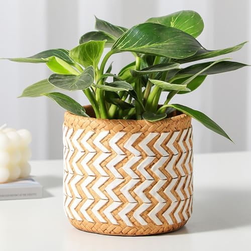 Concrete Rattan-Style Plant Basket Planter, 5" Outdoor Indoor Plant ...
