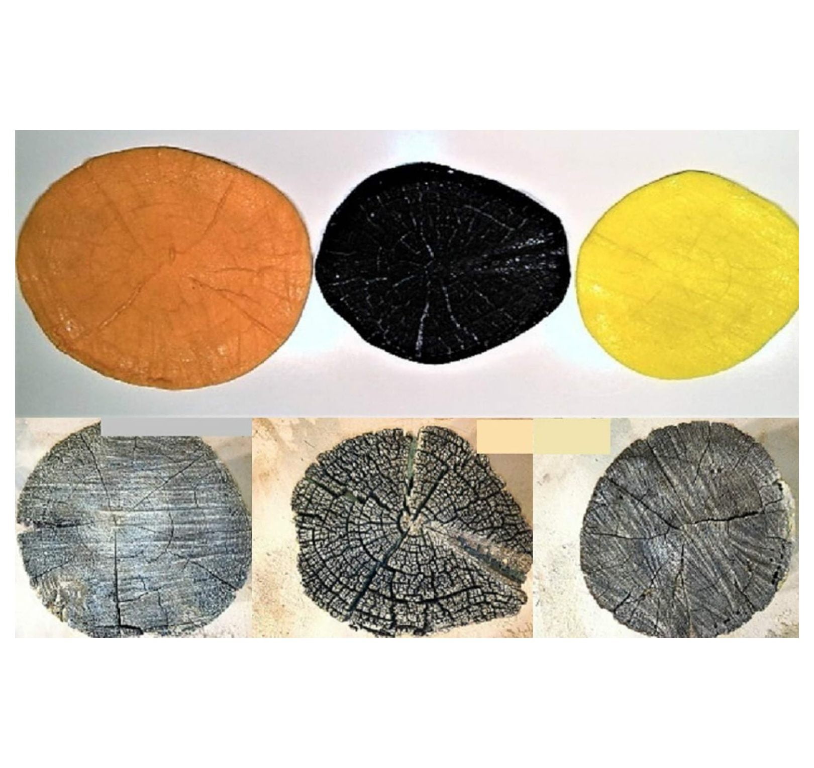 Concrete Tree Stump Stamp Kit - 3 Piece Set - Masonry Tools for ...