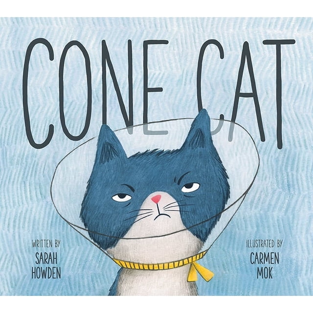 Cone Cat -- Sarah Howden - Walmart Business Supplies
