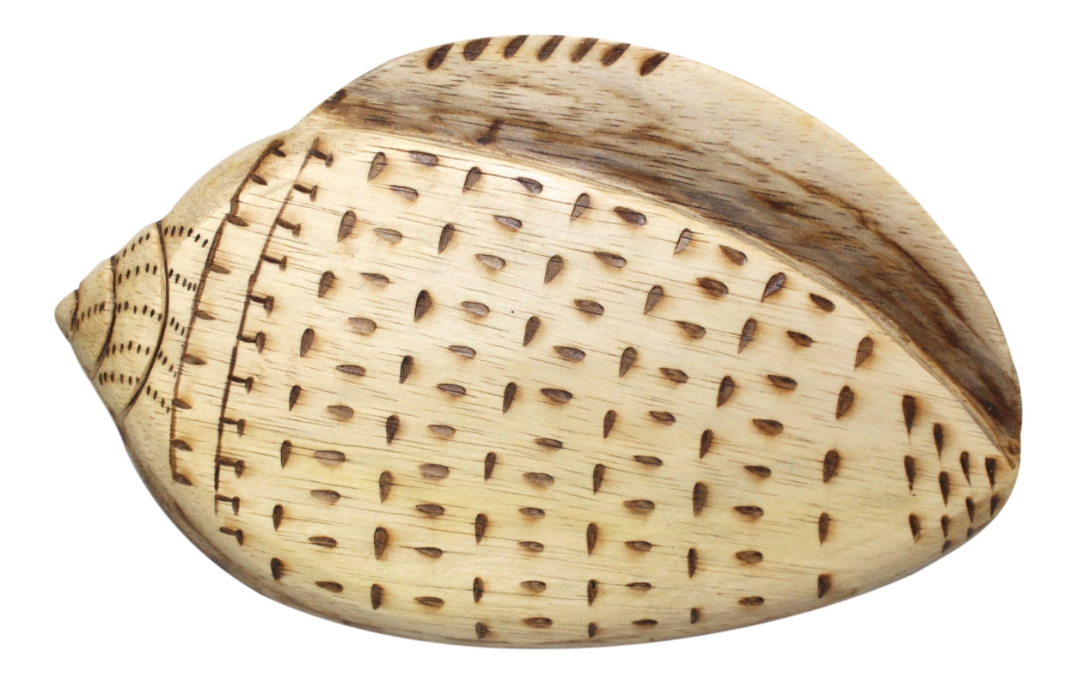 Cone Sea Shell Woodburned Panel Wood Board Wall Decor 8.75 Inch Hand ...