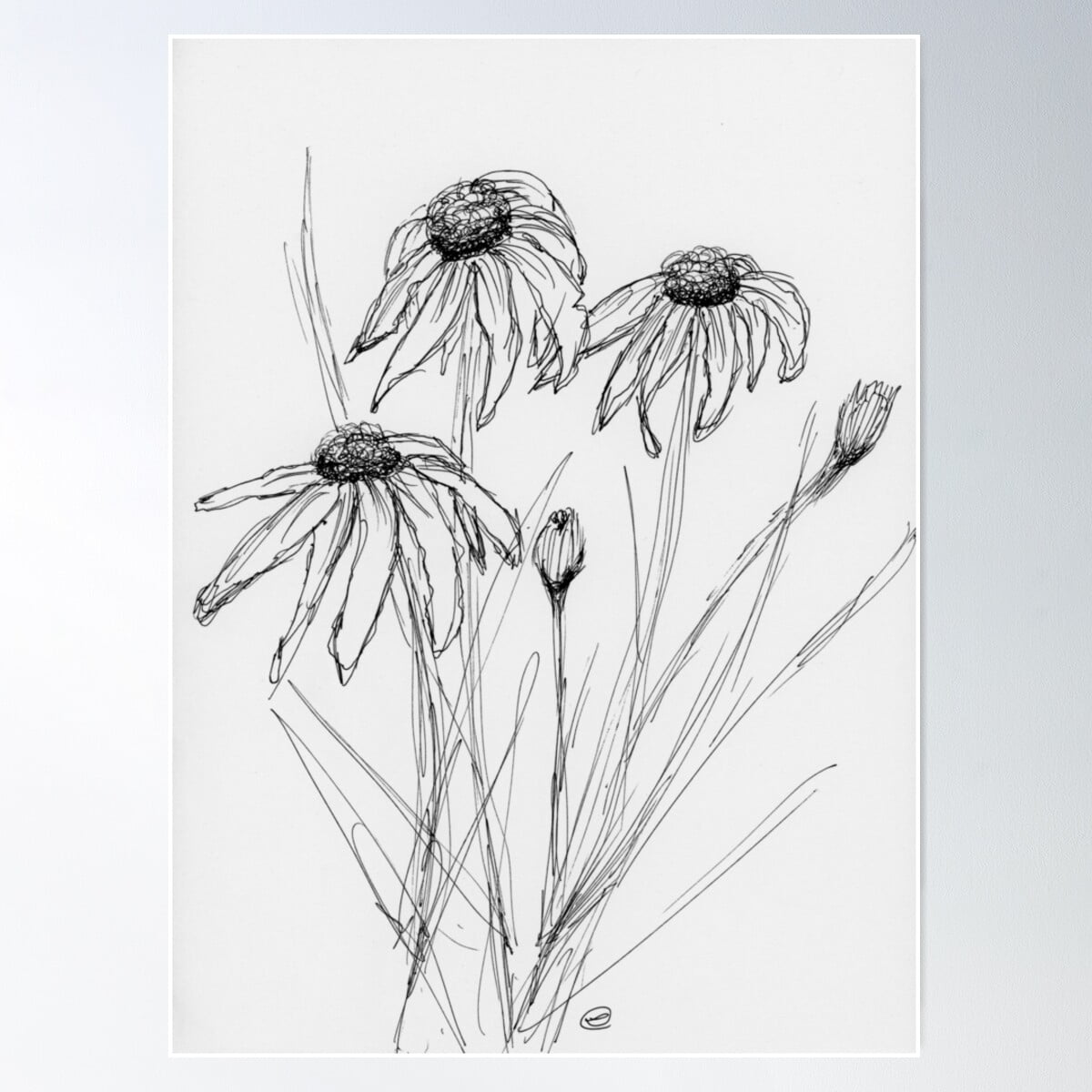 Coneflower In Pen & Ink, Line Art, Line Flowers Poster Wall Art, Modern ...