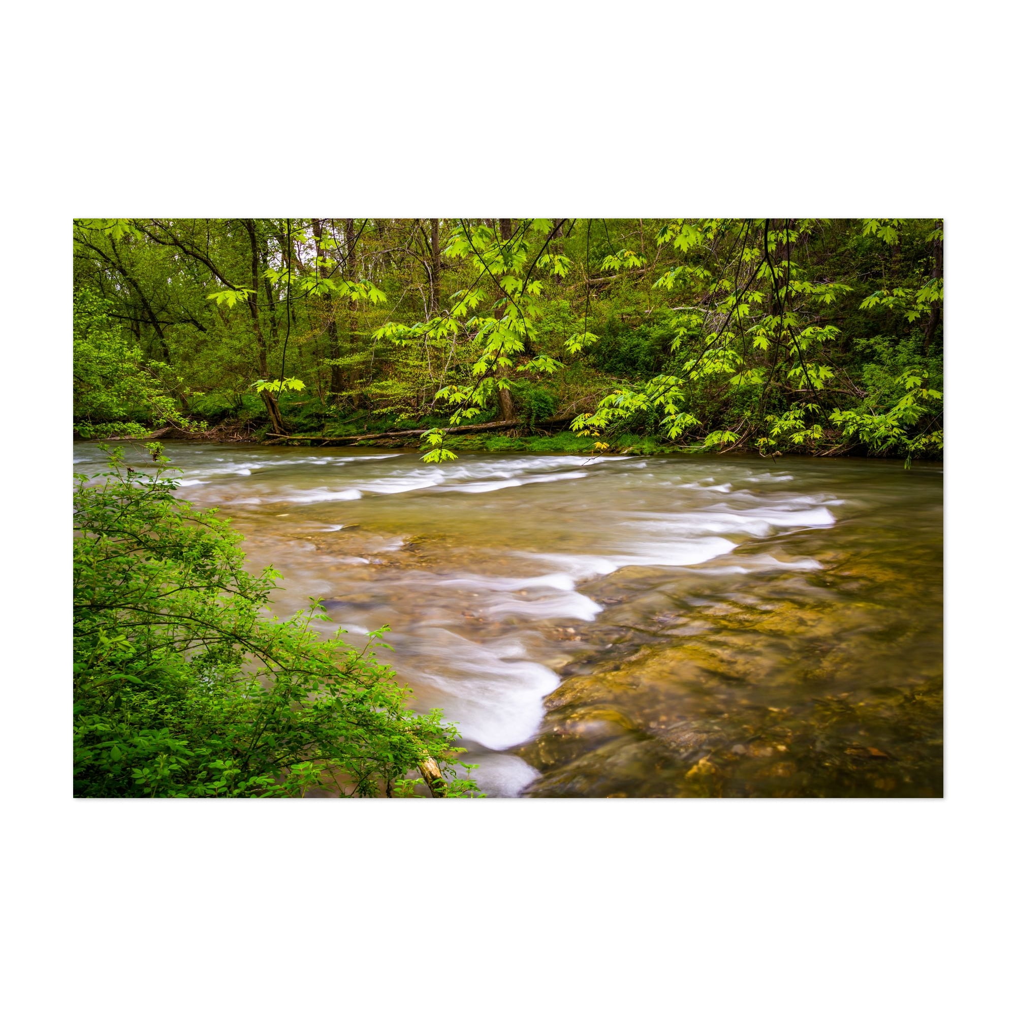 Conestoga Cascades - Lancaster Pennsylvania Photography Nature Forest ...