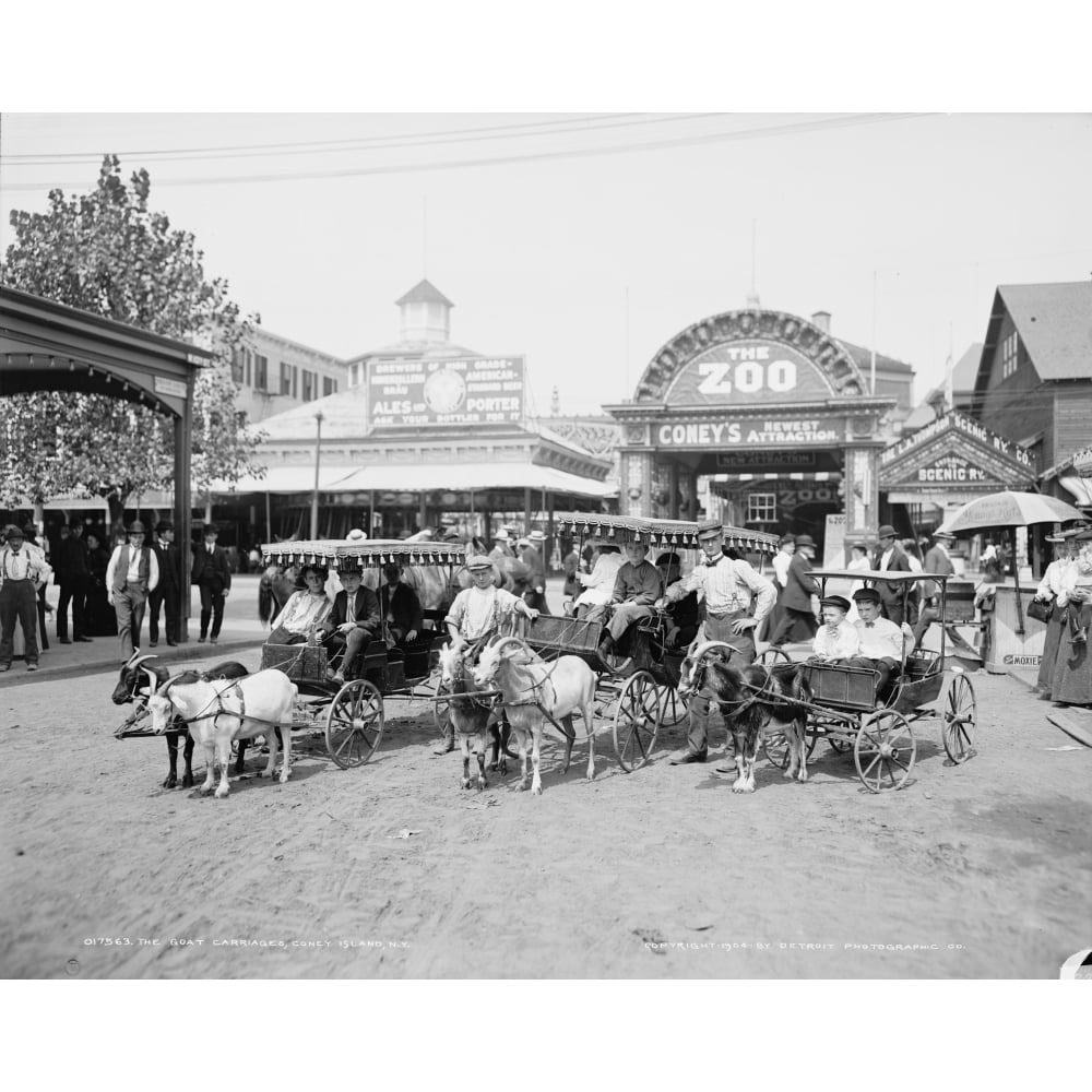 Coney Island Goat Carts. Nthe Goat Carriages At Coney Island Brooklyn ...