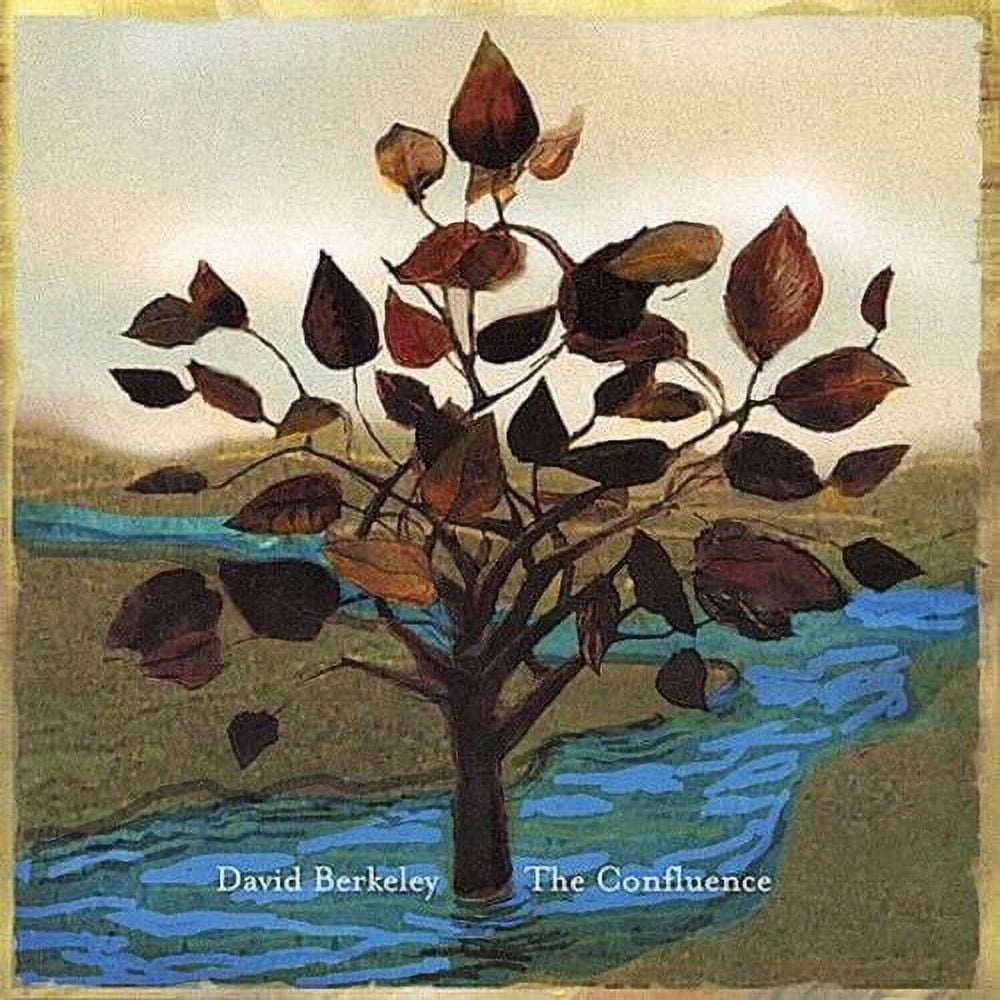Pre-Owned - Confluence by David Berkeley (CD, 2002) - Walmart.com