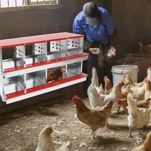Confote Two-Tier Chicken Nesting Box, 8 Compartment Egg Laying Box ...