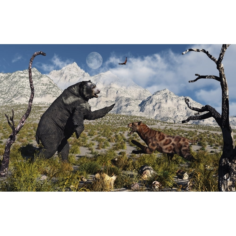 Confrontation between an Arctodus bear and a Sabre-Toothed Tiger Poster ...