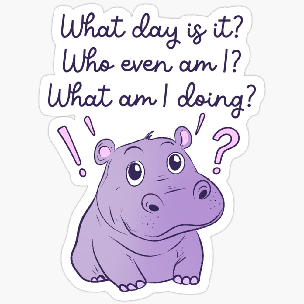 Confused Hippo Sticker Phone Decal Water Bottle Stickers Car Decals ...