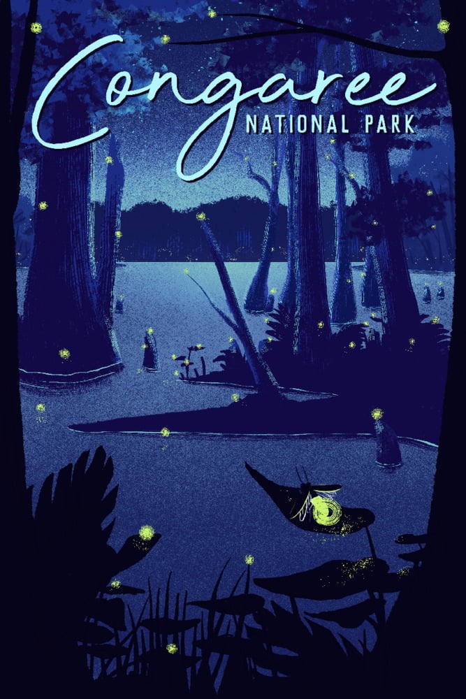 Congaree National Park, South Carolina, Fireflies (16x24 Giclee Gallery ...