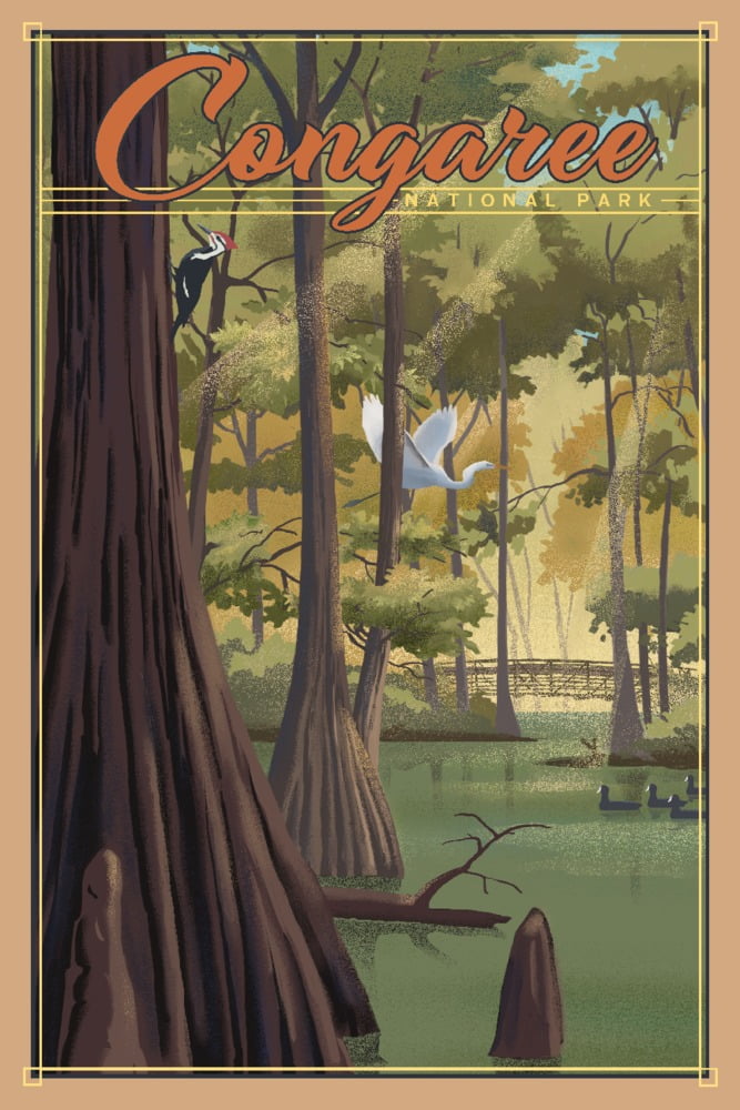 Congaree National Park, South Carolina, Lithograph National Park Series ...