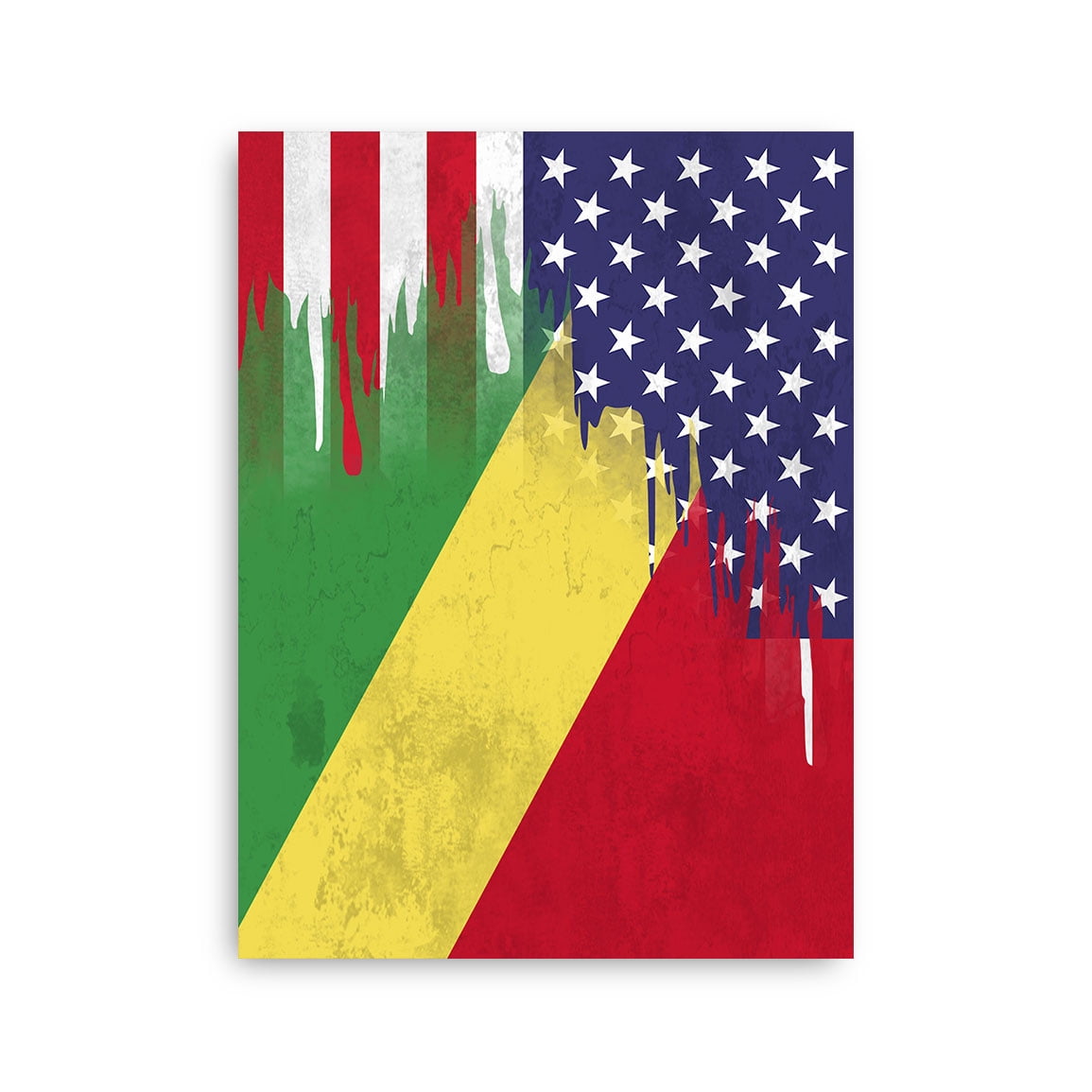 Congolese American Flag Wall Art Friendship USA Republic Of The Congo ...