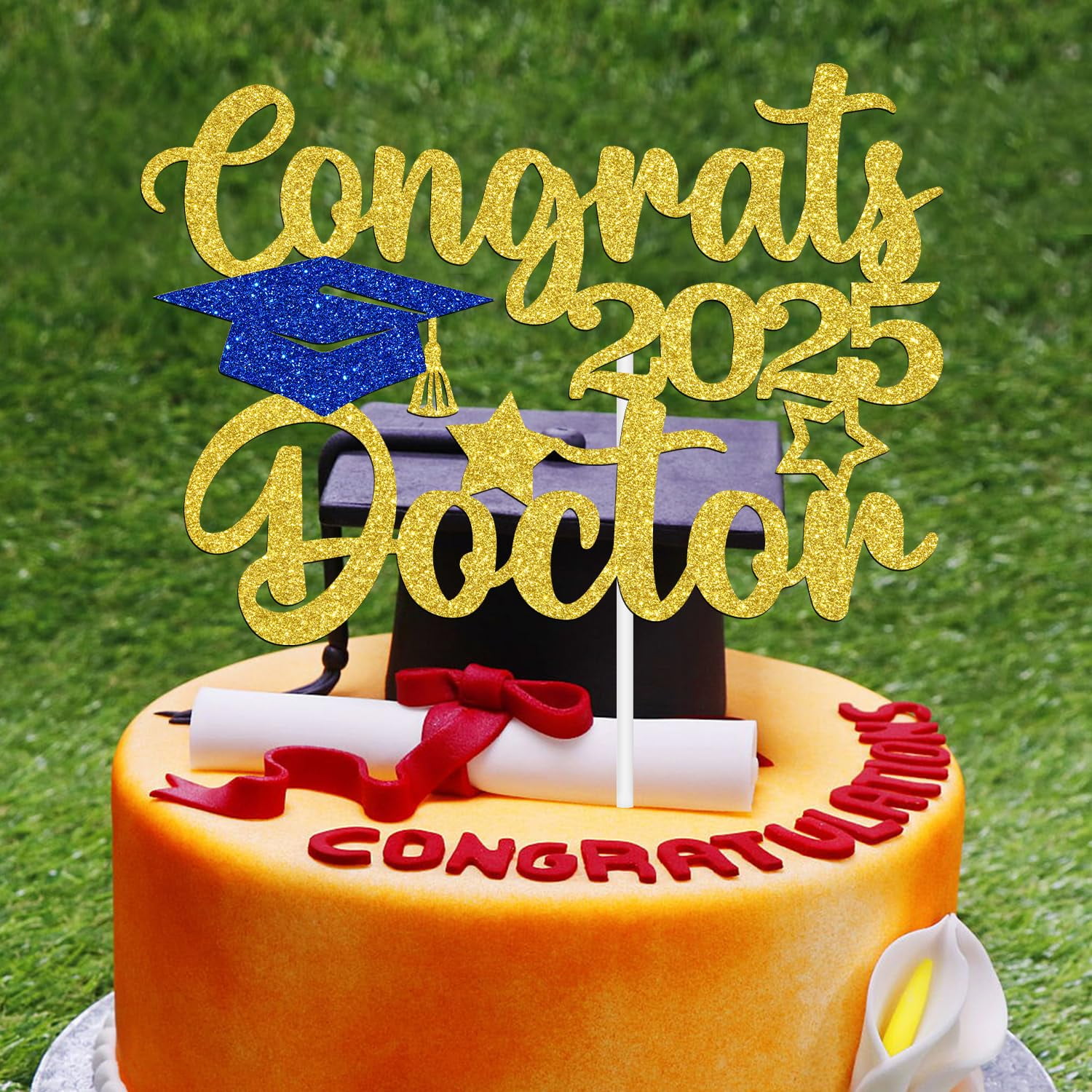 Congrats Doctor 2025 AJH3 Cake Topper, Future Doctor Cake Decor, Doctor ...