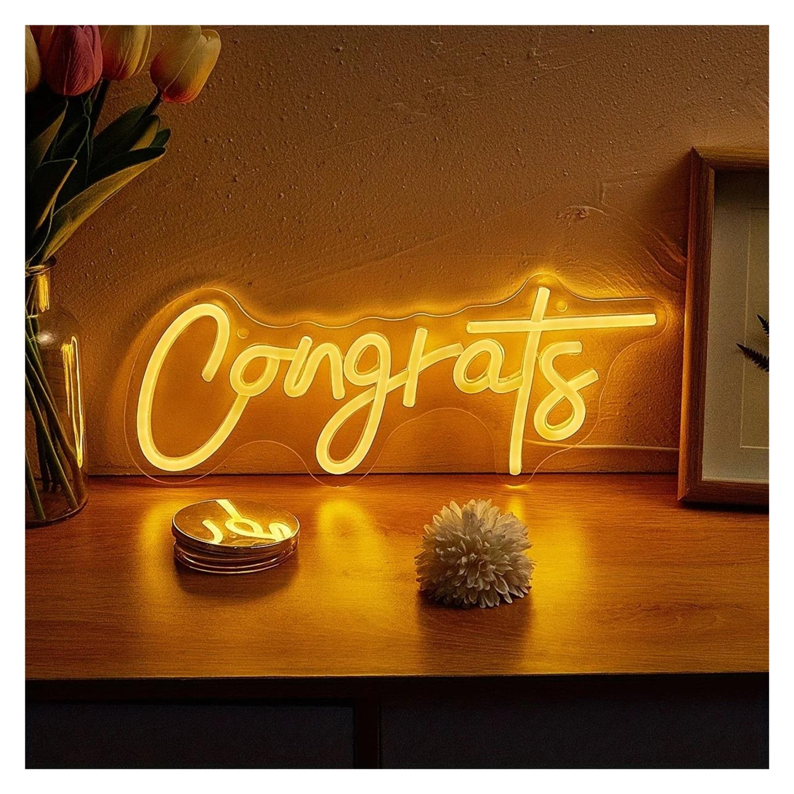 Congrats Neon Sign-Hanging Art Neon Signs, One Color Mode USB Powered ...