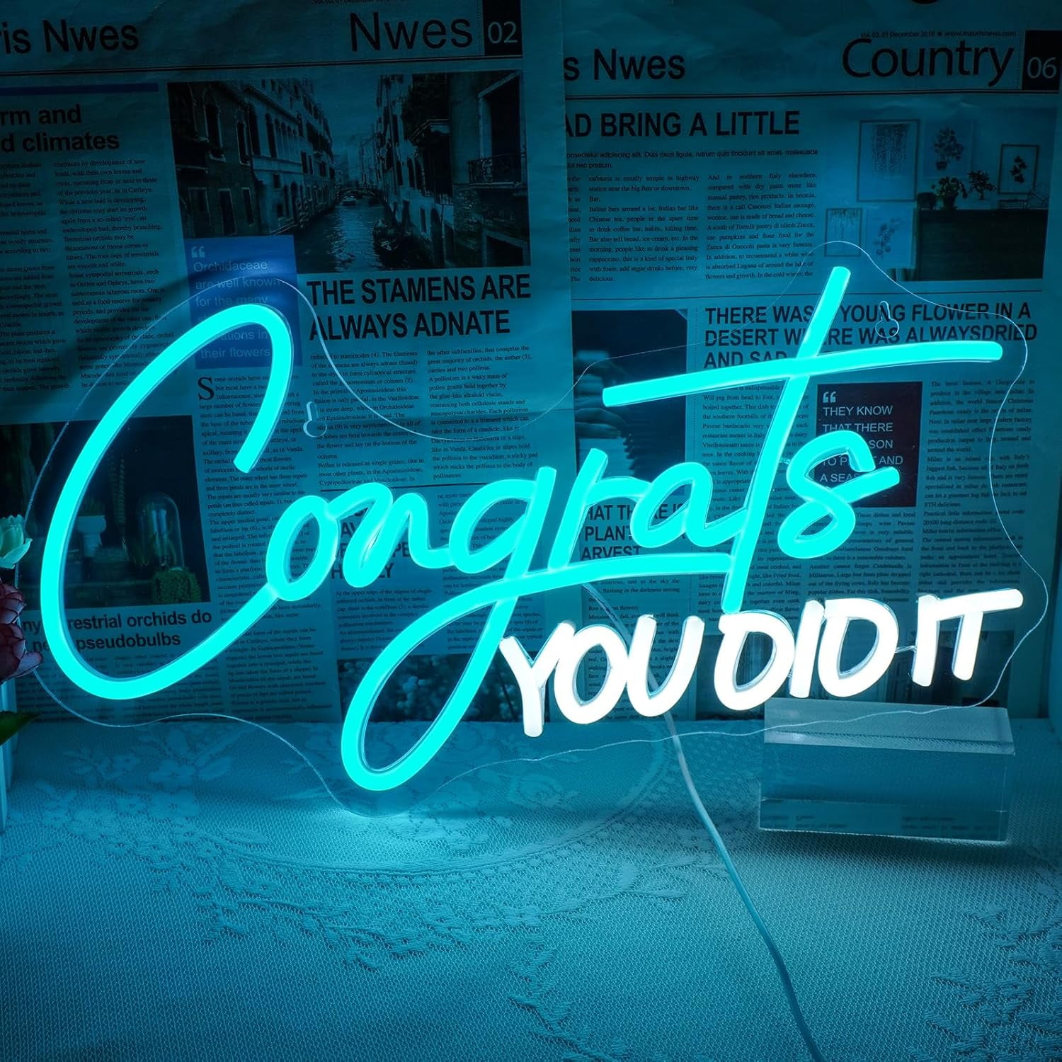 Congrats You Did It Neon Sign Graduation Decorations 2025 Blue White ...