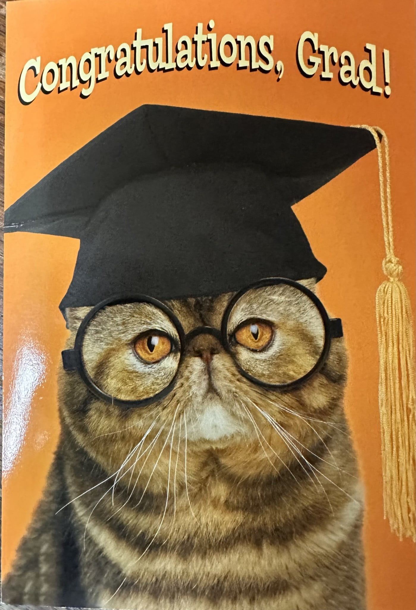 Congratulations Cat Graduation Greeting Card [GRT32101] - Walmart.com