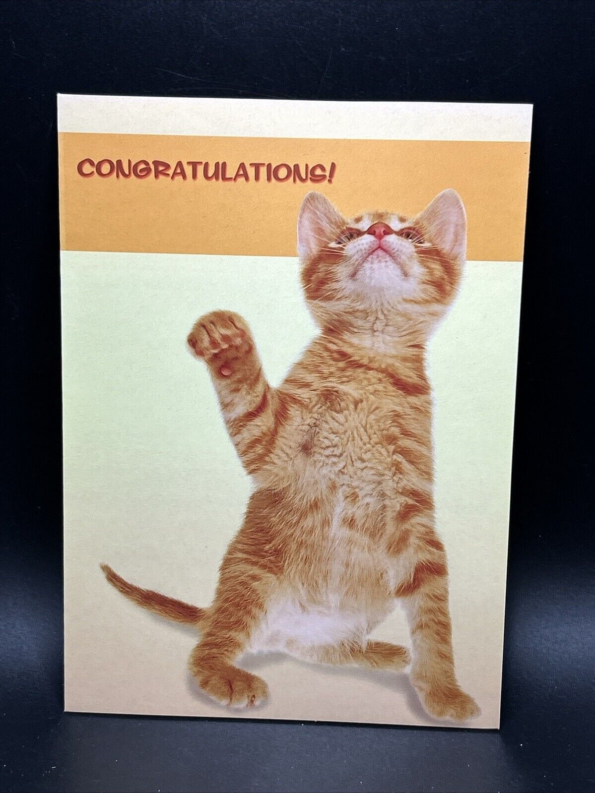 Congratulations on Your Success Greeting Card w/Envelope - Walmart.com