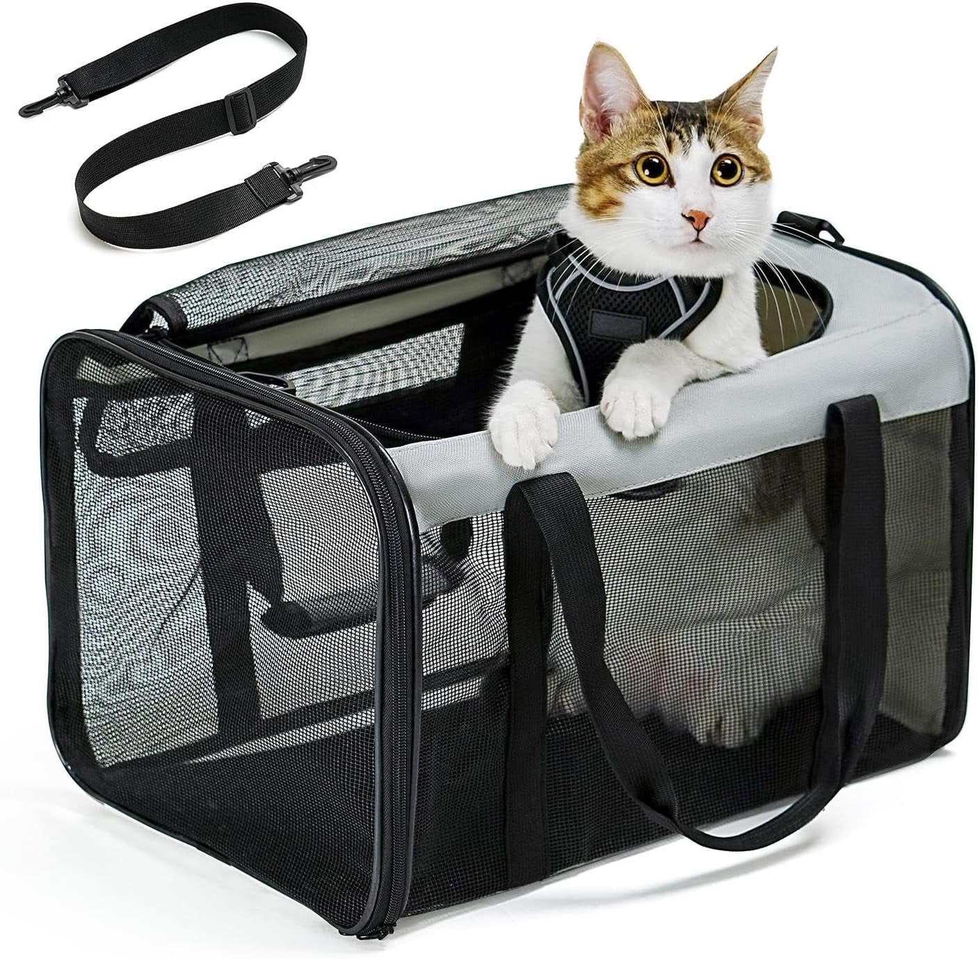 Conlun Cat Carrier,Soft-Sided Cat Carriers with 4-Sided Mesh,Airline ...