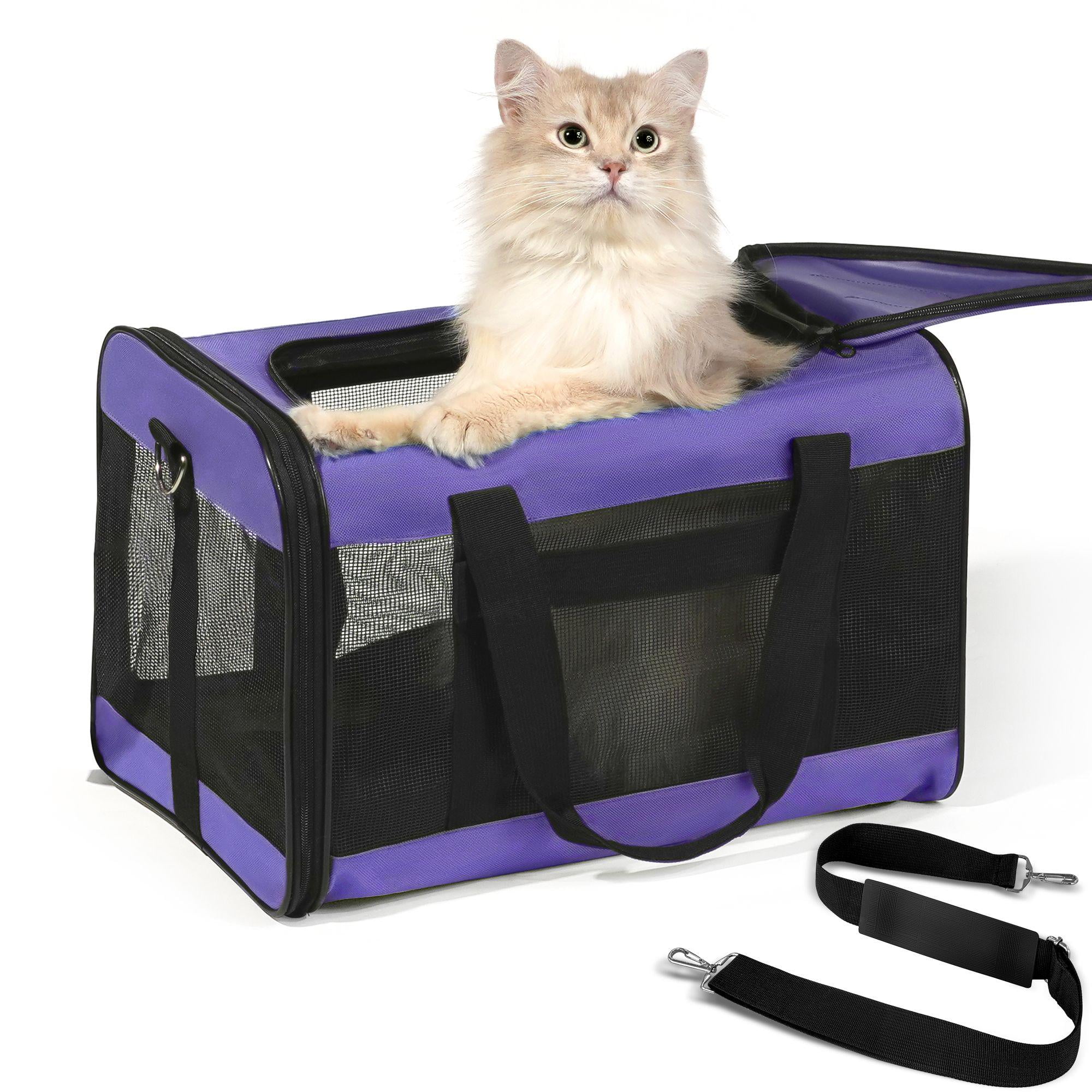 Conlun Airline Approved Cat and Puppy Carrier- Foldable, Safe, Comfort ...