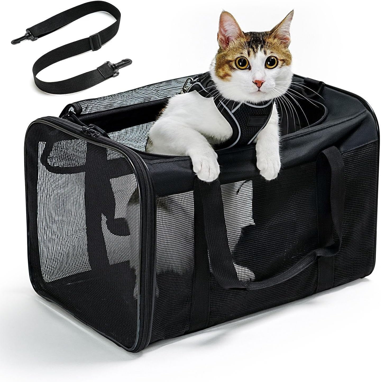 Conlun Cat Carrier,Soft-Sided Cat Carriers with 4-Sided Mesh,Airline ...