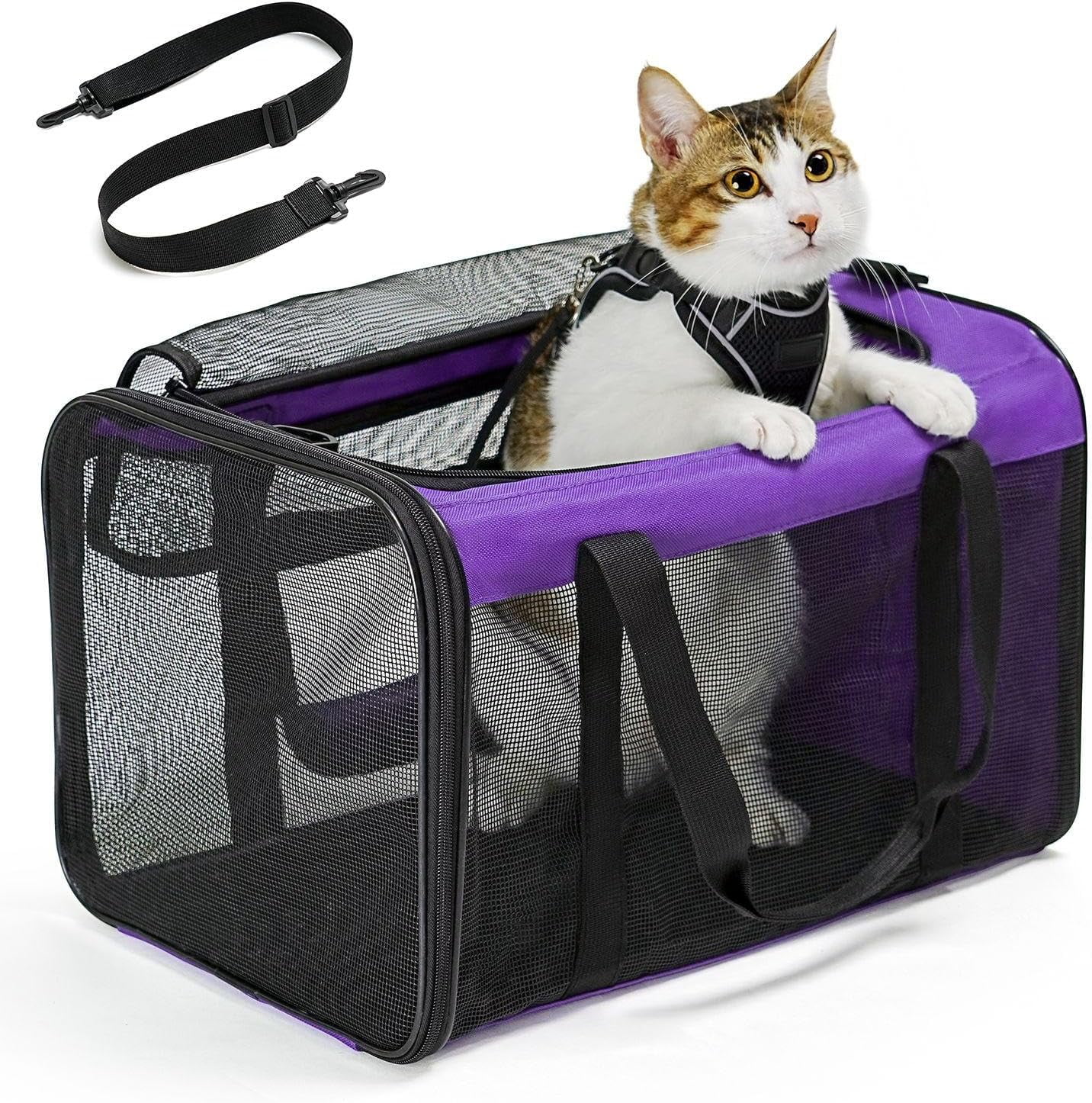 Conlun Cat Carrier,Soft-Sided Cat Carriers with 4-Sided Mesh,Airline ...
