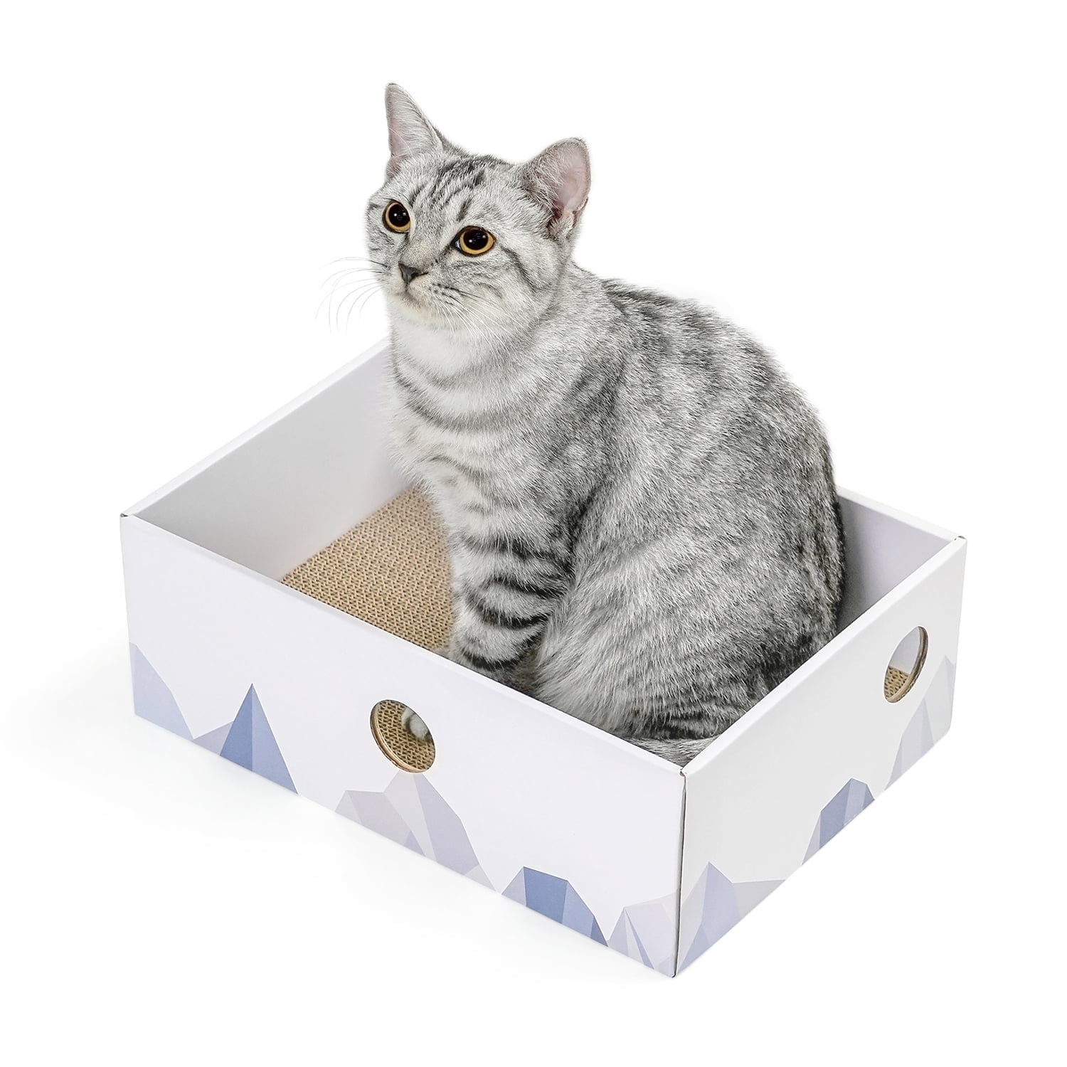Conlun Cat Scratcher Box with Cat Scratching Pad,Double-Sided Cardboard ...