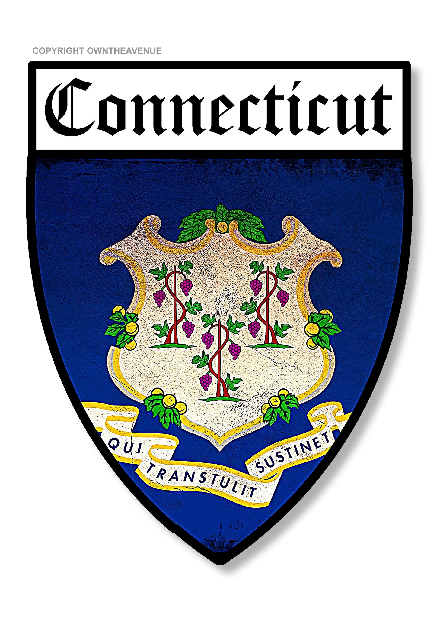 Connecticut Badge Logo Vintage Style Car Truck Vinyl Sticker Decal 3.5 ...