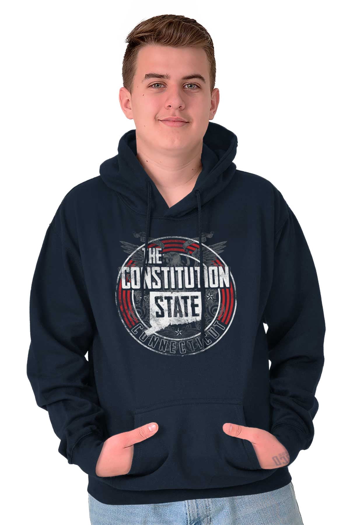Connecticut Distressed Retro State Unisex Plus Size Hoodie Brisco ...