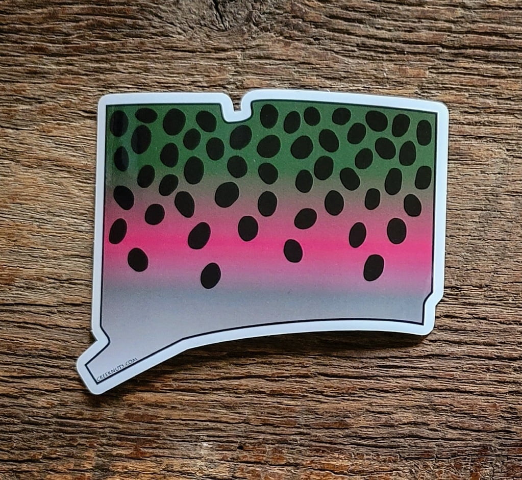 Connecticut Rainbow Trout Skin Sticker Decal - Walmart.com