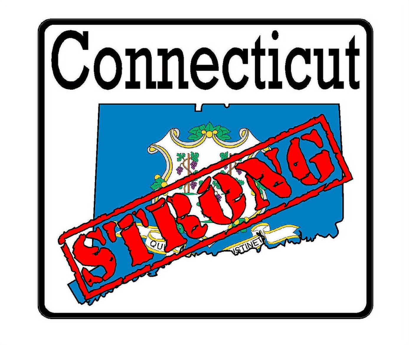 Connecticut State (K9) Strong Vinyl Decal Sticker Car/Truck Laptop ...
