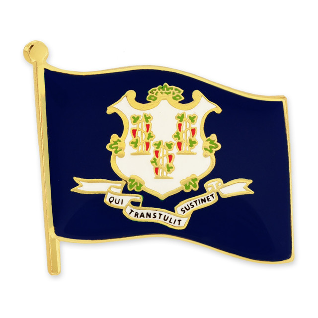 PinMart Connecticut US State Flag CT Enamel Lapel Button Pins, 10-Piece ...