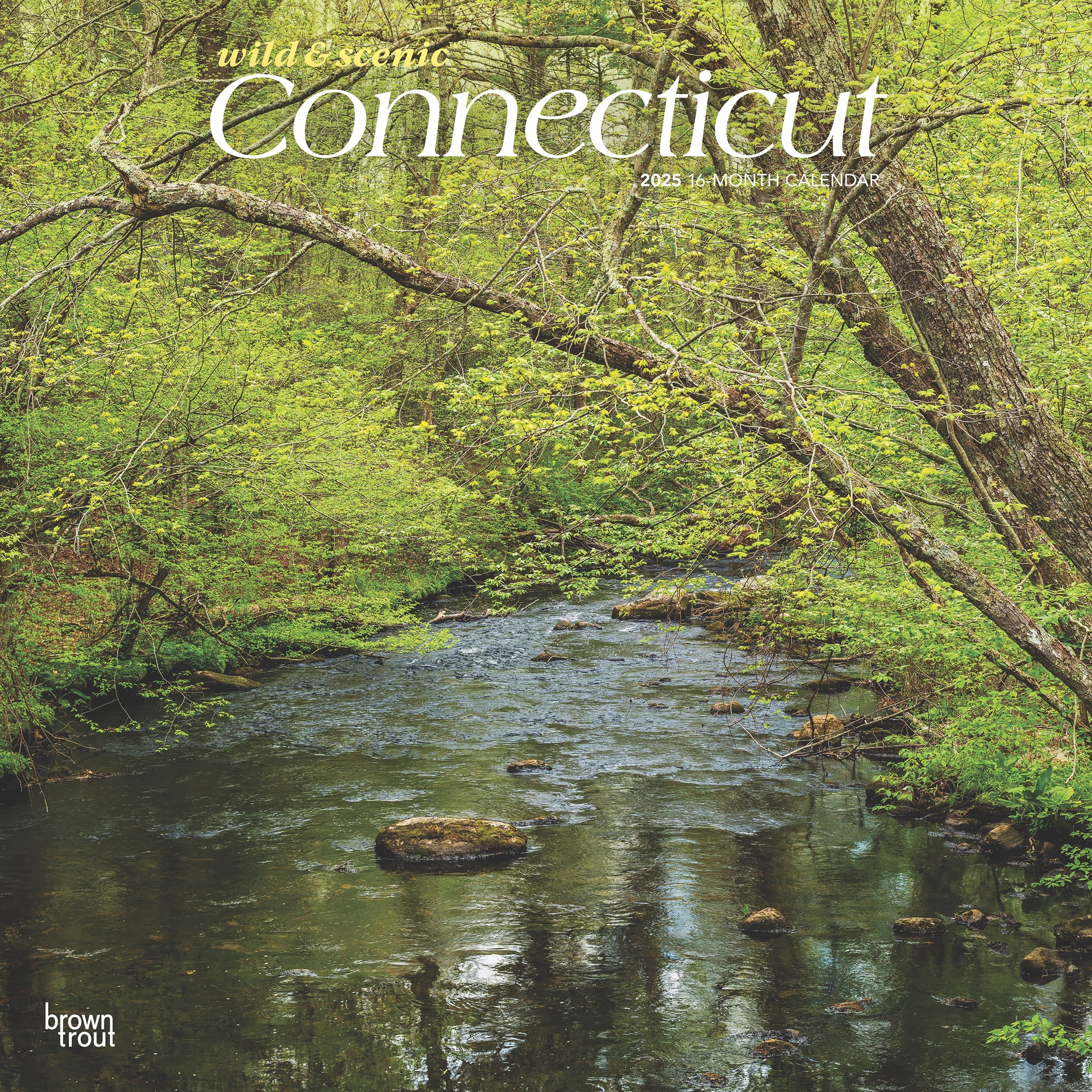 Connecticut Wild & Scenic 2025 by Browntrout - Walmart.com