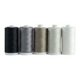 Connecting Threads 5-Piece Cotton Quilting Thread Spool Set, Salt and ...