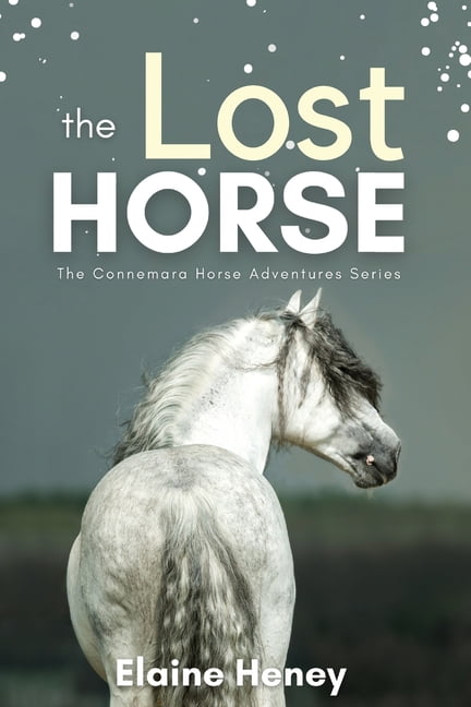 Connemara Horse Adventure The Lost Horse - Book 6 in the Connemara ...