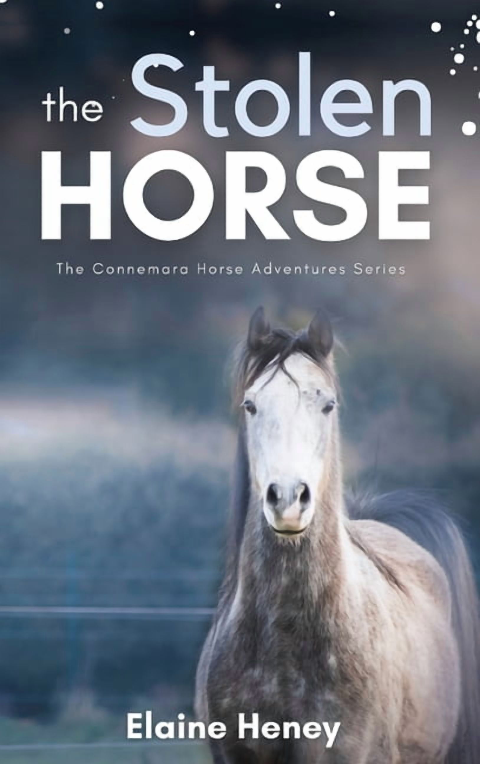 Connemara Pony Adventures The Stolen Horse - Book 4 in the Connemara ...