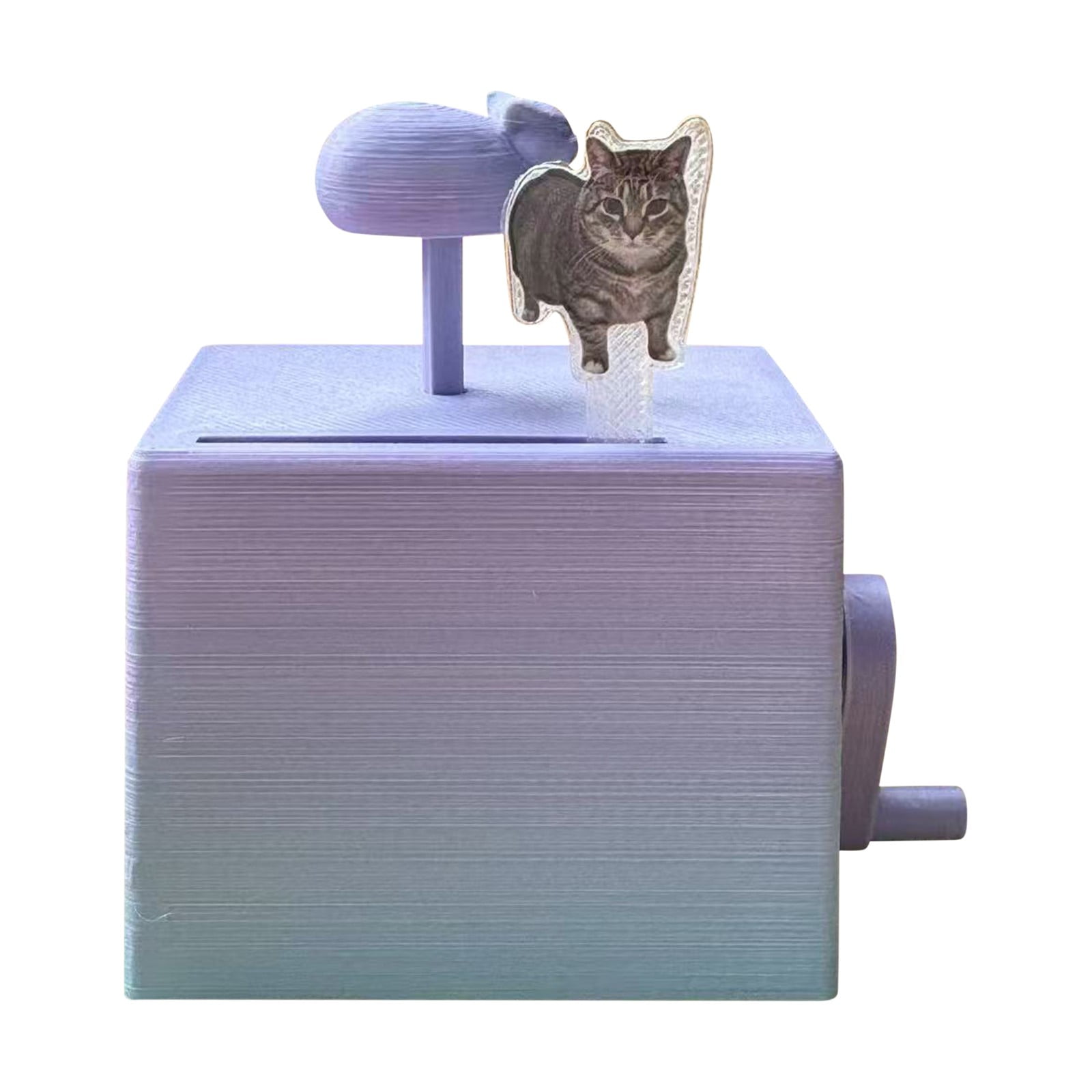 Connue Hand Cranked Rotating Cat Music Box Interactive Cat Toy with ...