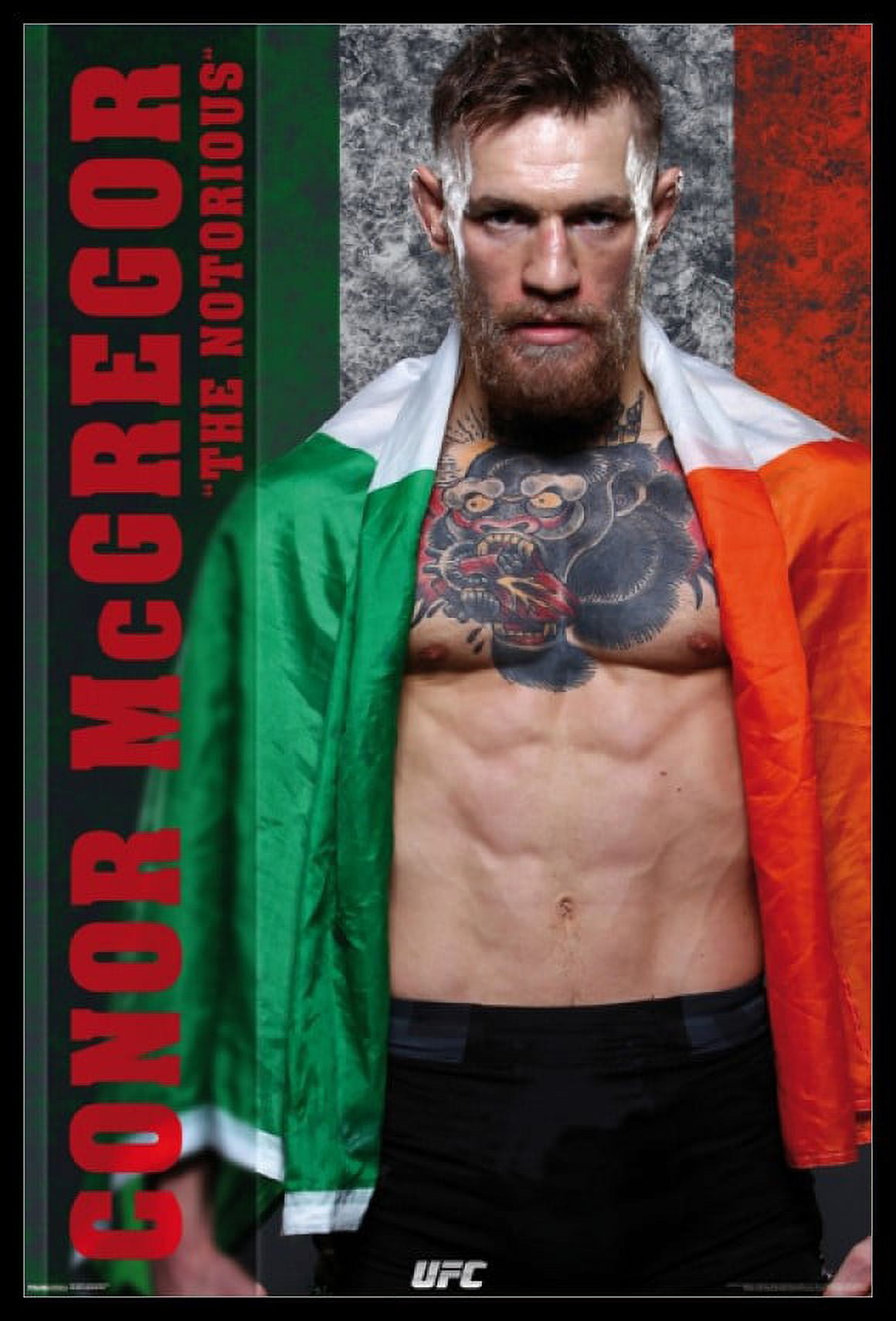 Conor McGregor UFC Laminated & Framed Poster (24 x 36) - Walmart.com