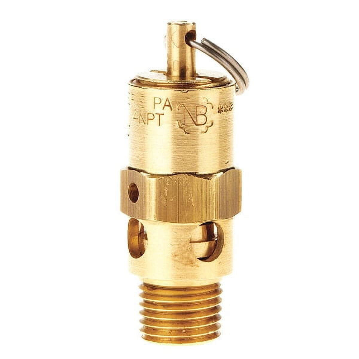 Conrader Air Safety Valve,1/4" (M) NPT Inlet SRh250-14- 175 SST ...