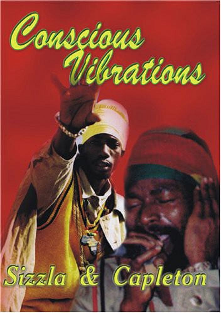 Conscious Vibrations (DVD) - Walmart.com