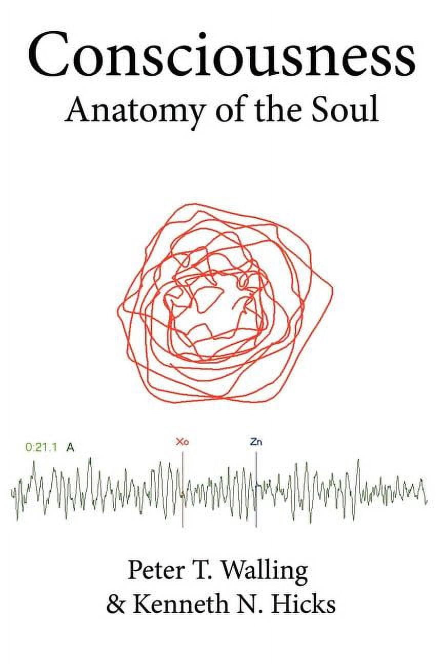 Consciousness : Anatomy of the Soul - Walmart.com