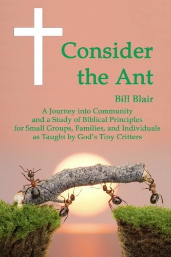 Pre-Owned Consider the Ant: A Journey into Community and a Study of ...