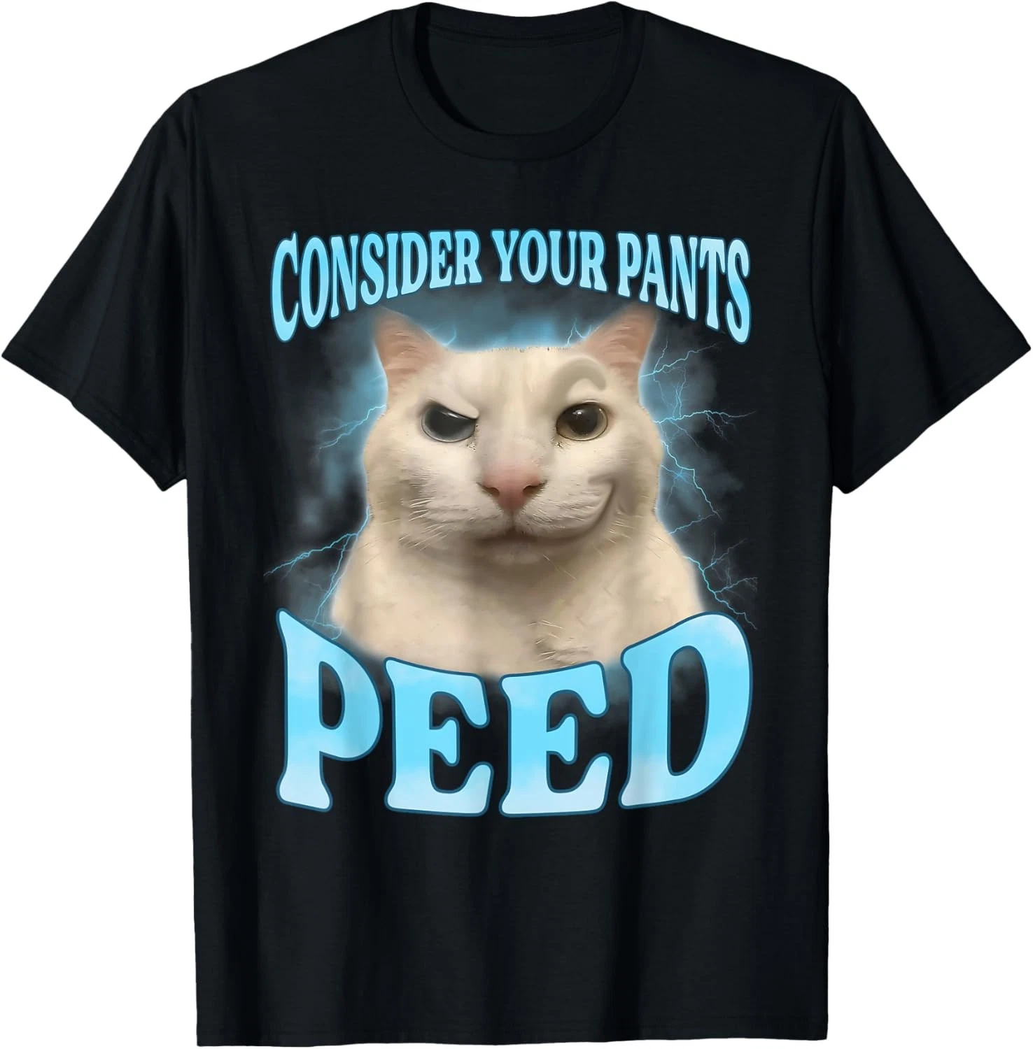 Consider Your Pants Peed Funny Freak Cat Meme Humor Saying Graphic ...