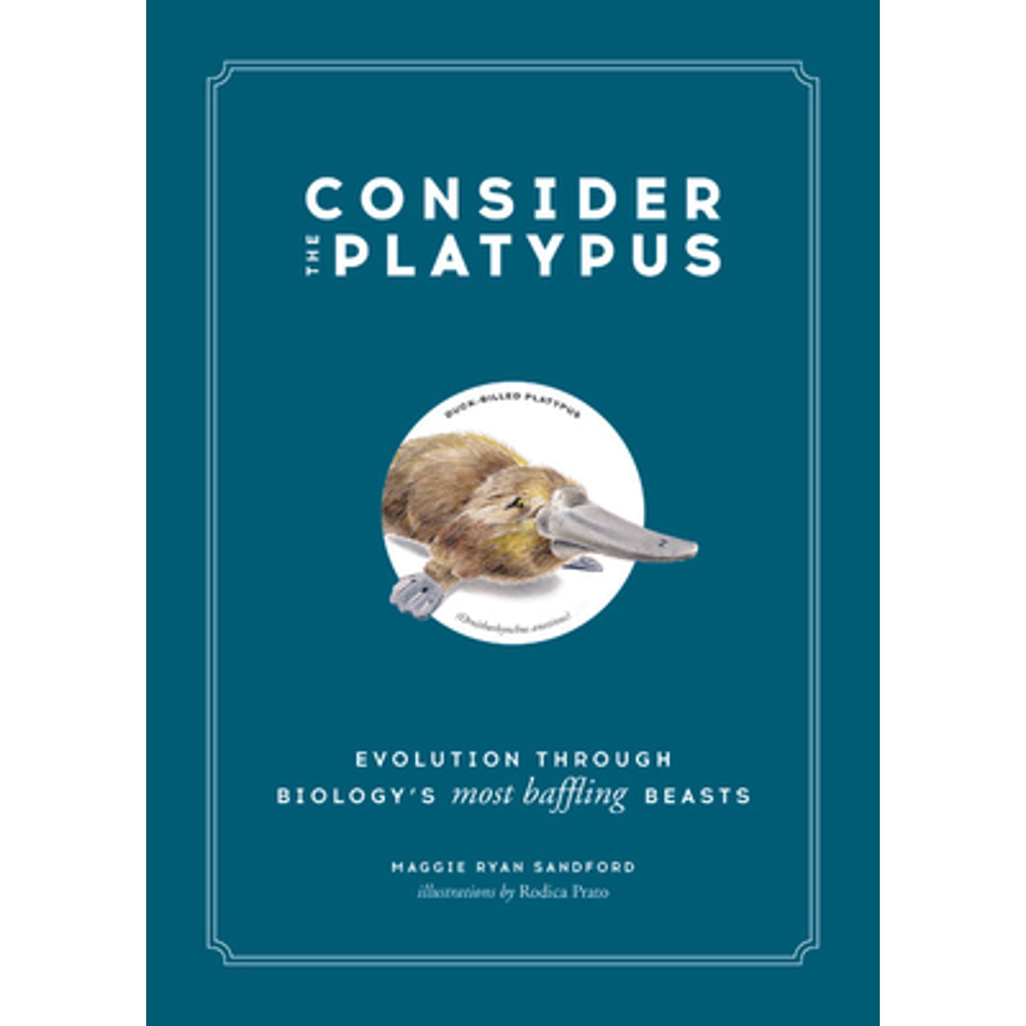 Pre-Owned Consider the Platypus: Evolution Through Biology's Most ...