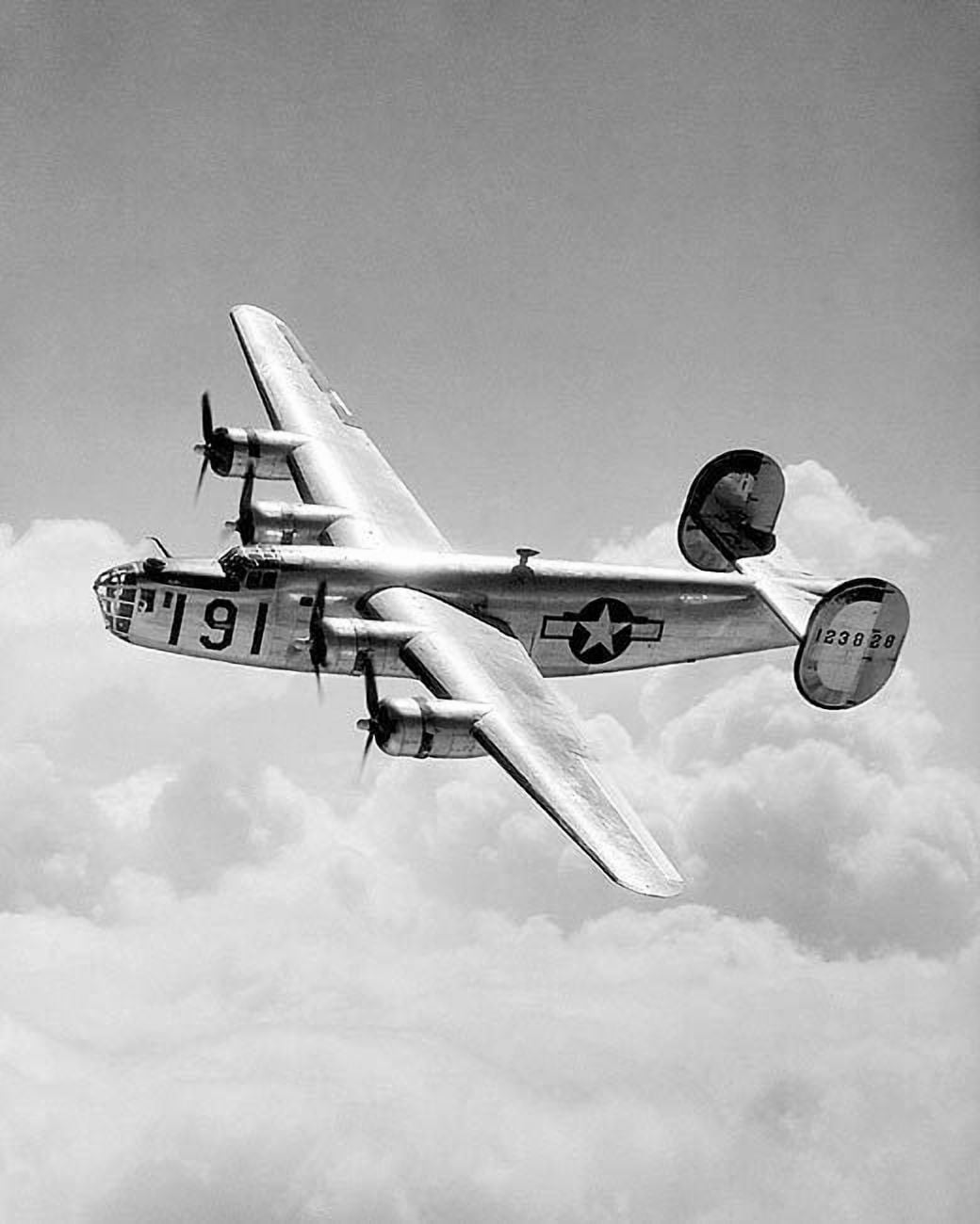 Consolidated B-24 Liberator Bomber in Flight - 24x36 Inch Laminated ...