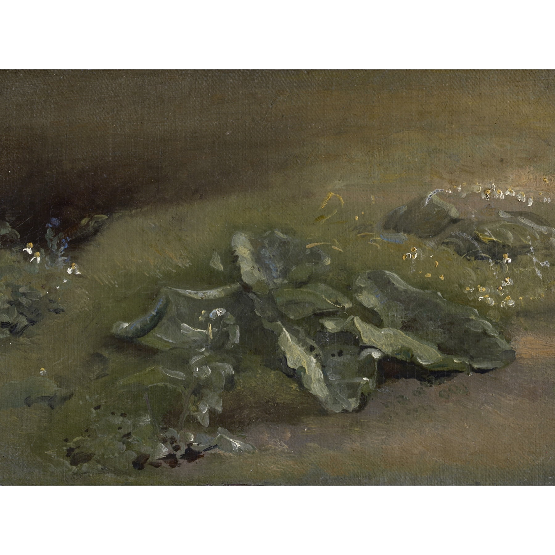 Constable Study Of A Burdock C1810 Painting Extra Large XL Wall Art ...