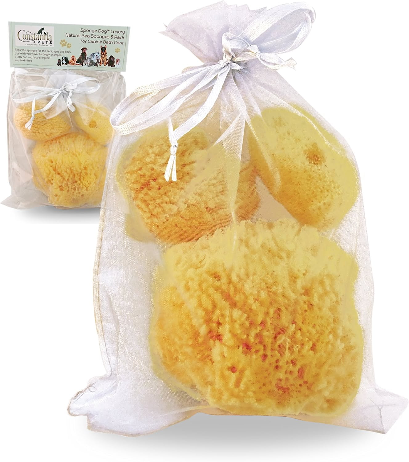 Constantia Pets Sea Sponges for Dogs - Luxury Canine Bath Care, for Pet ...