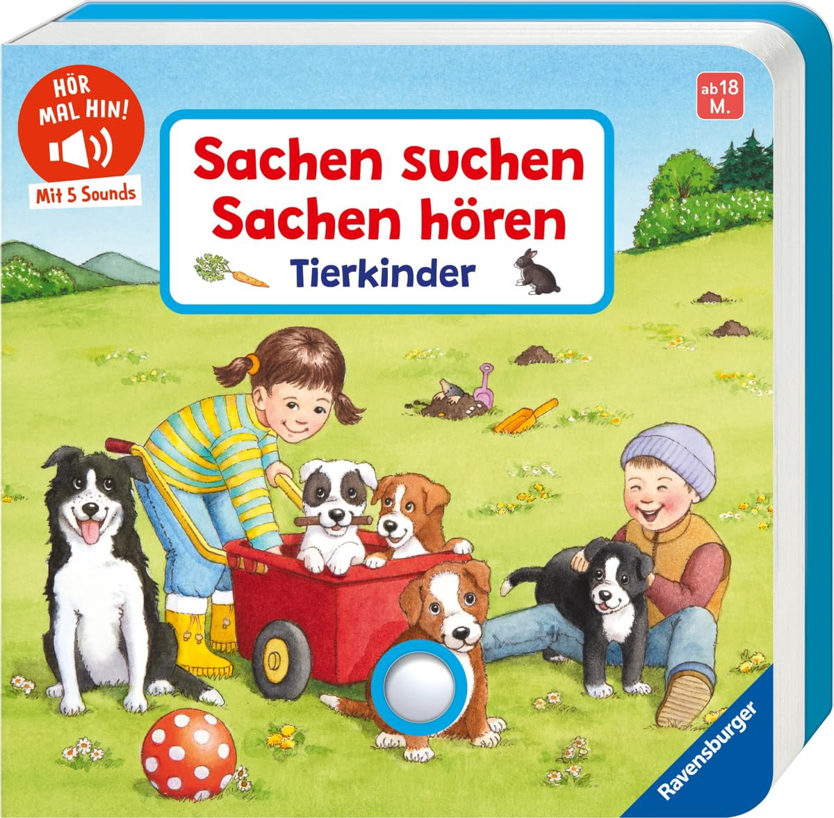 Constanze Schar Hör mal hin! Sachen suchen, Sachen hören: Tierkinder ...