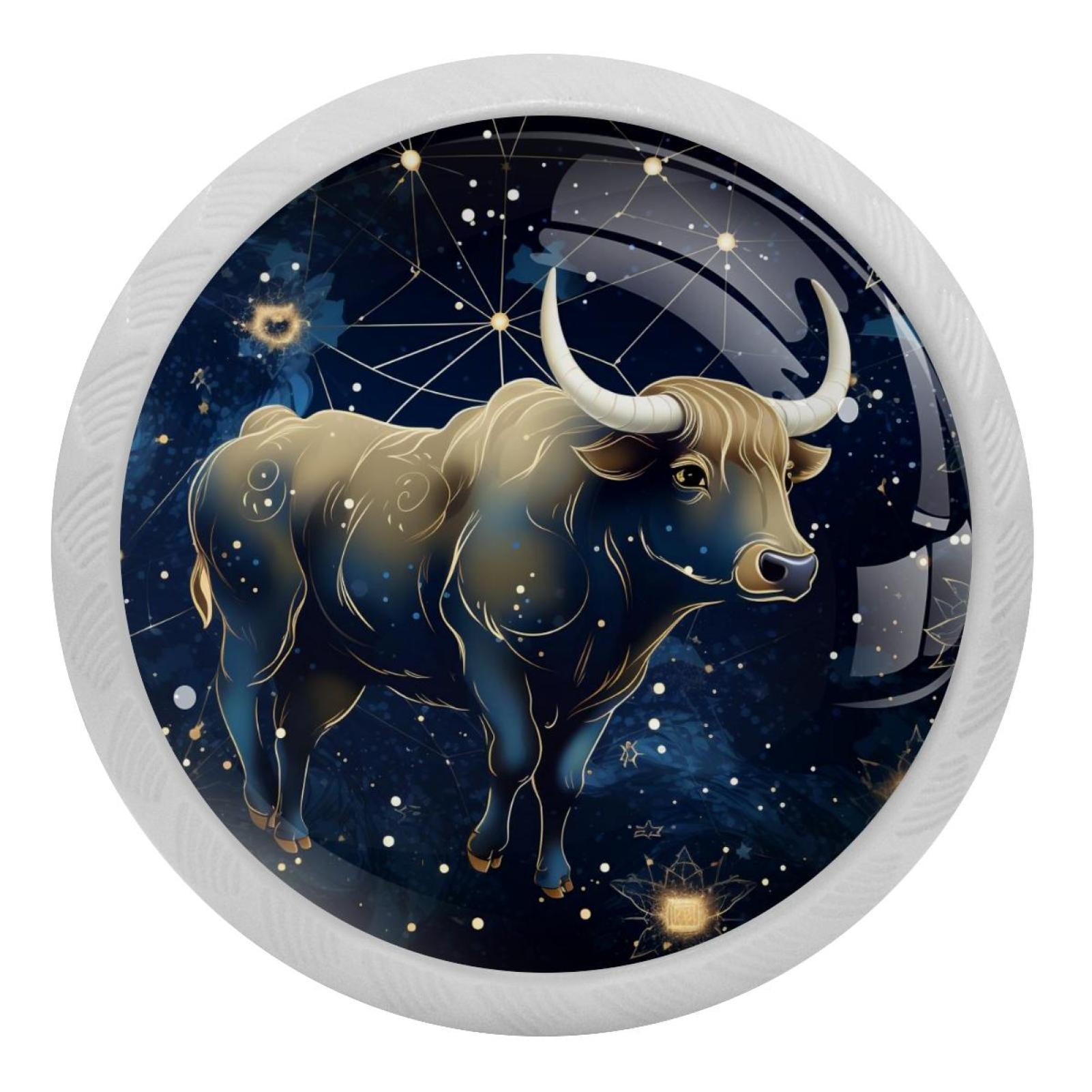 Constellation Fluorescent Glow-in-the-Dark Drawer Pulls: 4-Pack Round ...