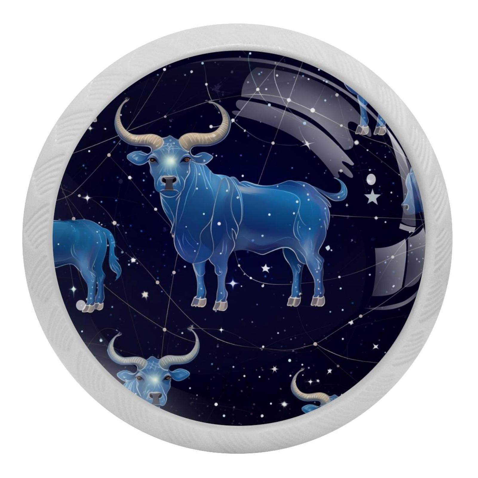 Constellation Glow-in-the-Dark Fluorescent Drawer Pulls - Round 4-Pack ...