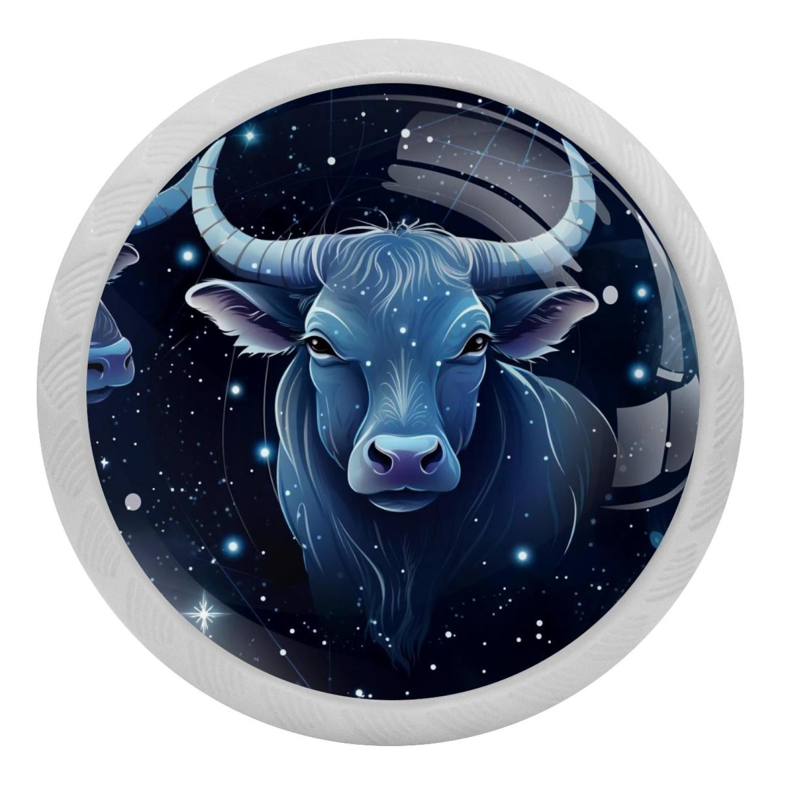 Constellation Glow-in-the-Dark Round Drawer Pulls, 4-Pack - Fluorescent ...