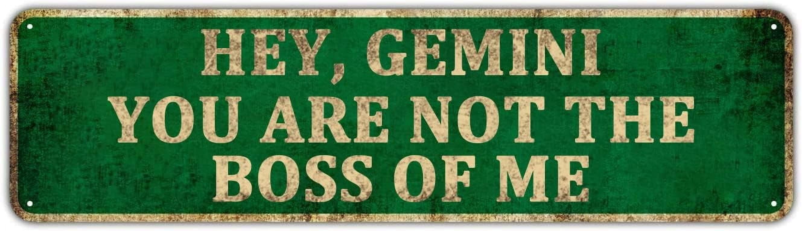 Constellation Tin Sign - Hey, Gemini You're Not the Boss of Me, Funny ...