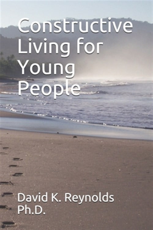 Constructive Living for Young People - Walmart.com